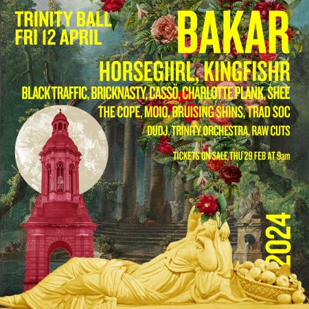 Home [www.trinityball.ie]